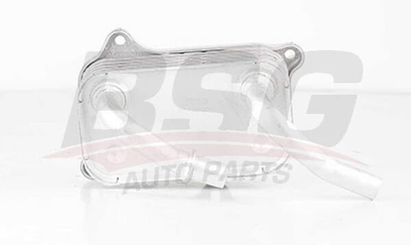 Yag Sogutucu Radyatörü BSG 60506001 OEM : A1121880401 | Parbulo.com ...