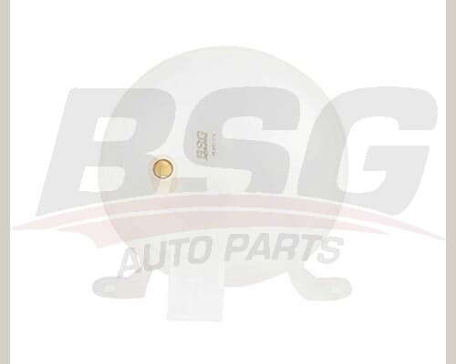 Radyatör Yedek Su Deposu BSG 65550012 OEM : 1304603 | Parbulo.com ...